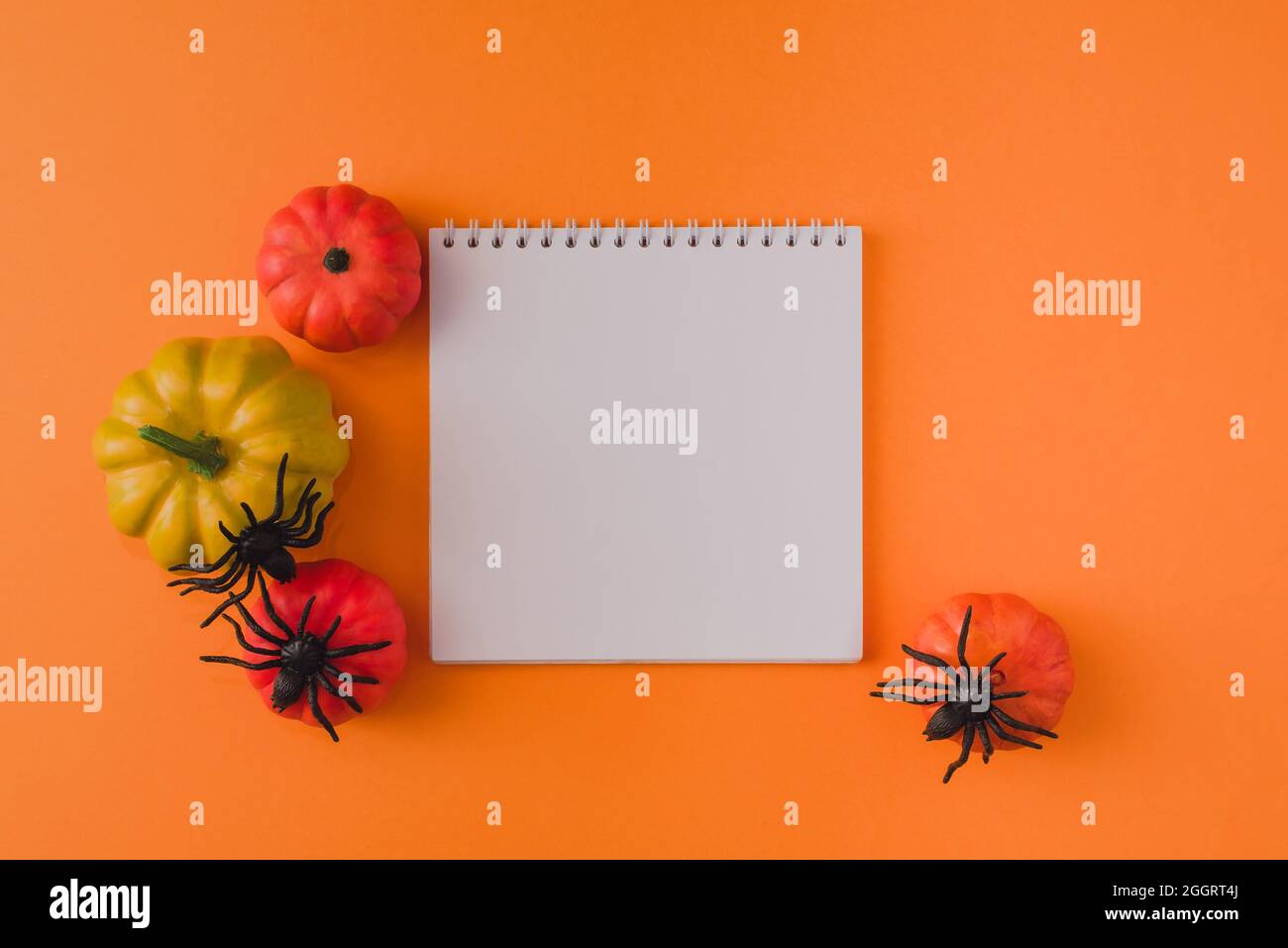Flat lay halloween composition on orange background with mock up ...