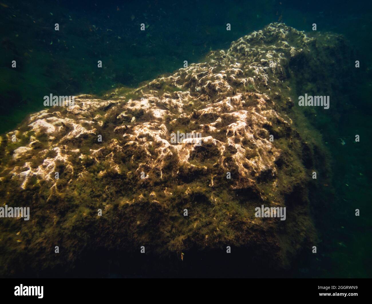General view of a reef at the bottom of the waters of the Yax Kin ...