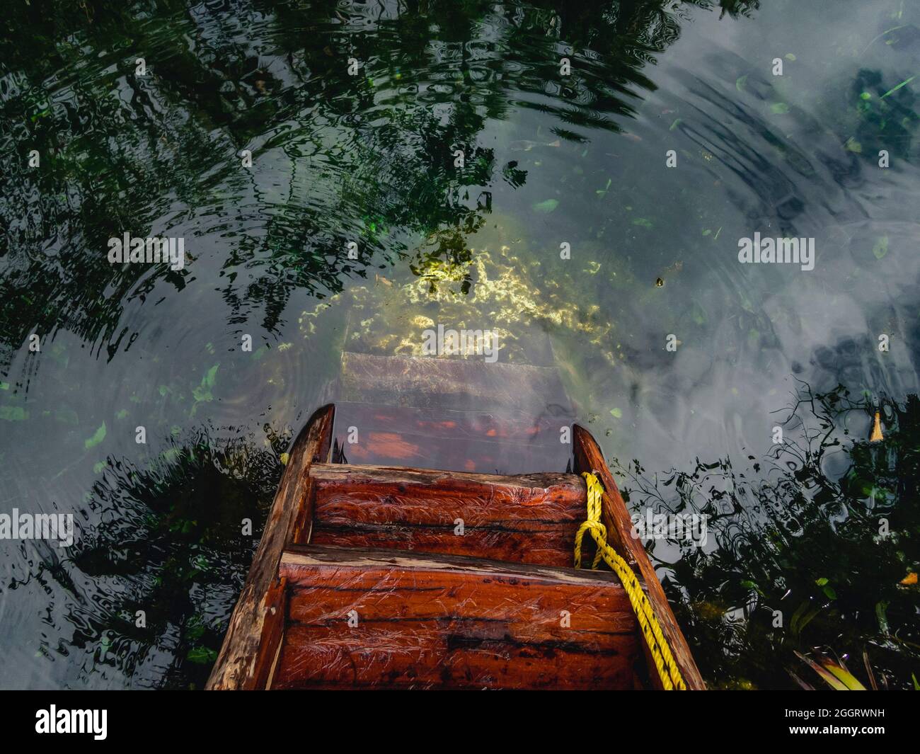 Reflection of clouds on water of the Yax Kin natural pond, to 13 km ...