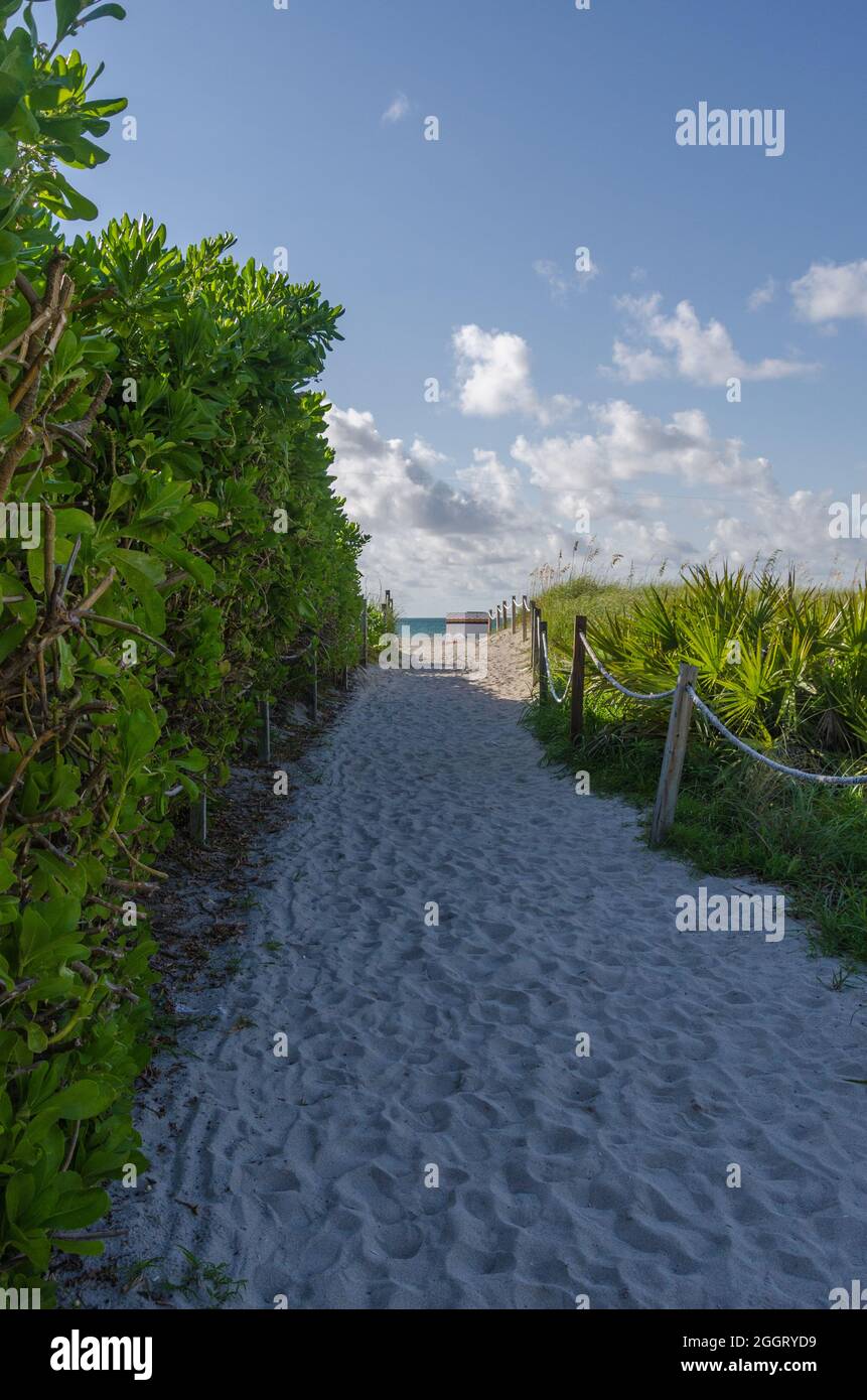 A sandy path leading to the beach in Miami, Florida Stock Photo - Alamy