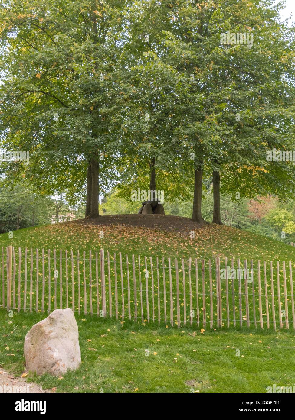 Trees on a hill enlosed by a fence in Frederiksberg Gardens in ...