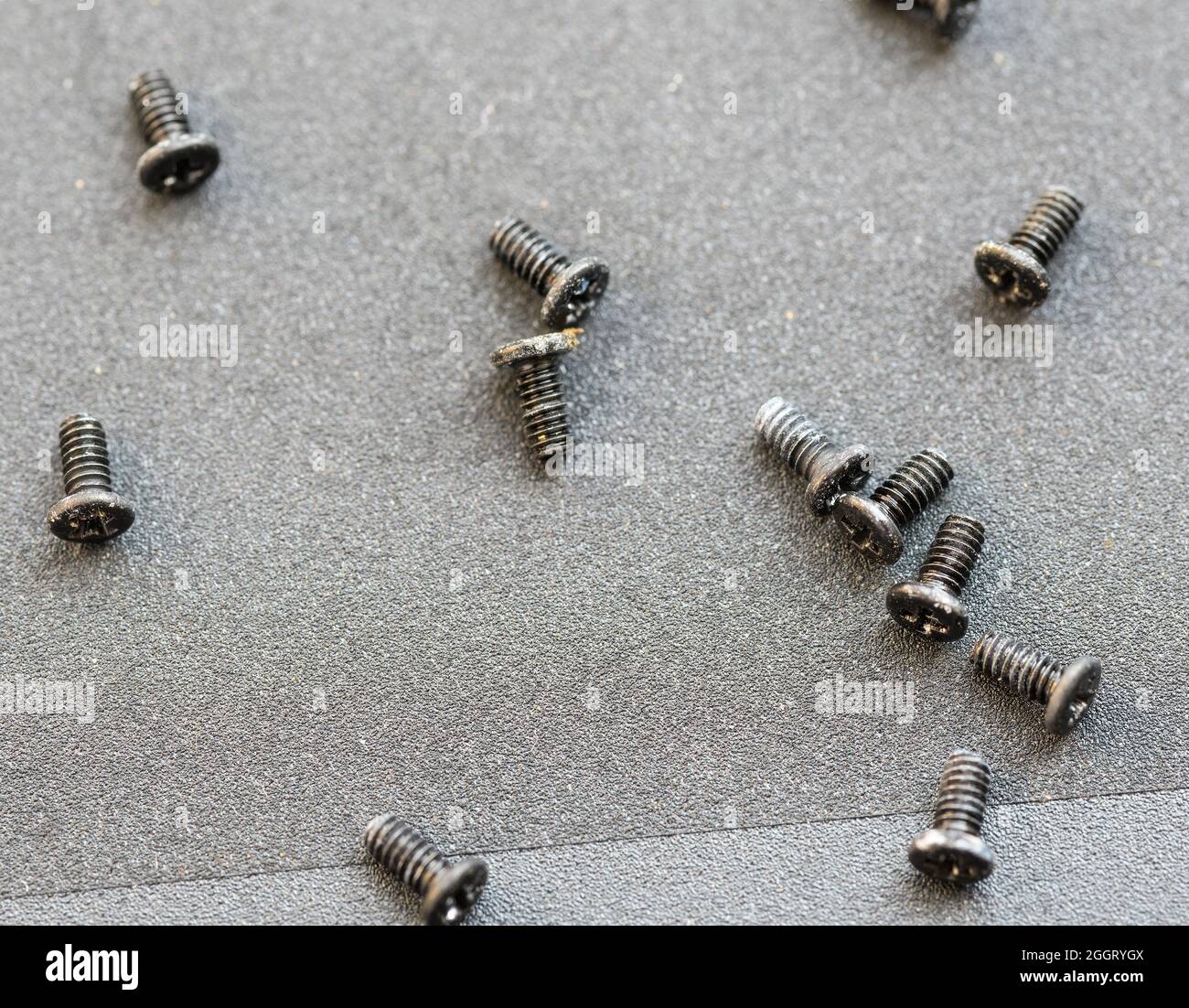 Small metallic screws on a grey background Stock Photo - Alamy