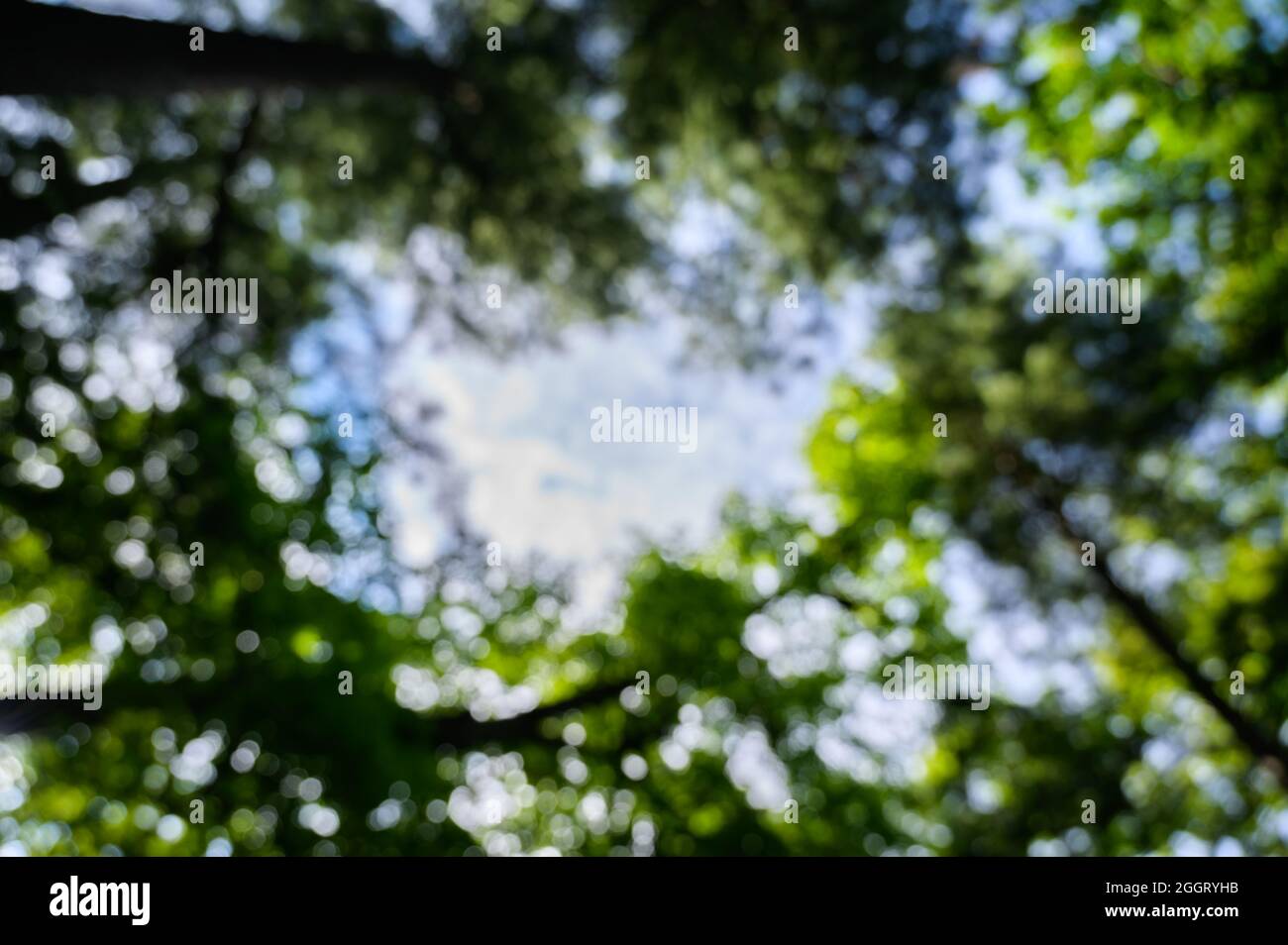 Natural green bokeh abstract background Stock Photo - Alamy
