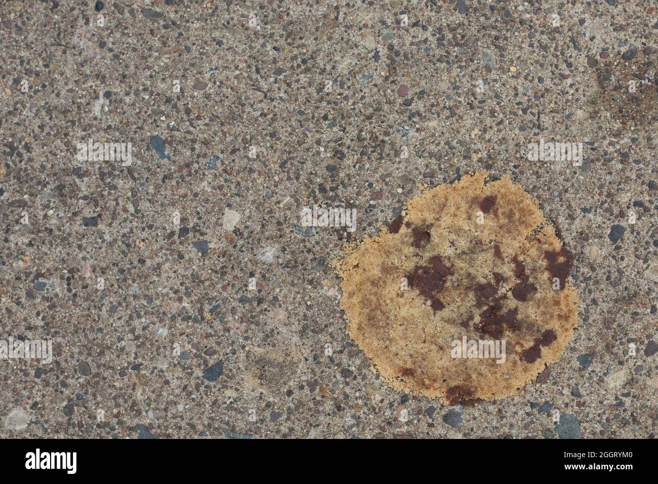 A chocolate chip cookie smashed flat on the concrete ground at the ...