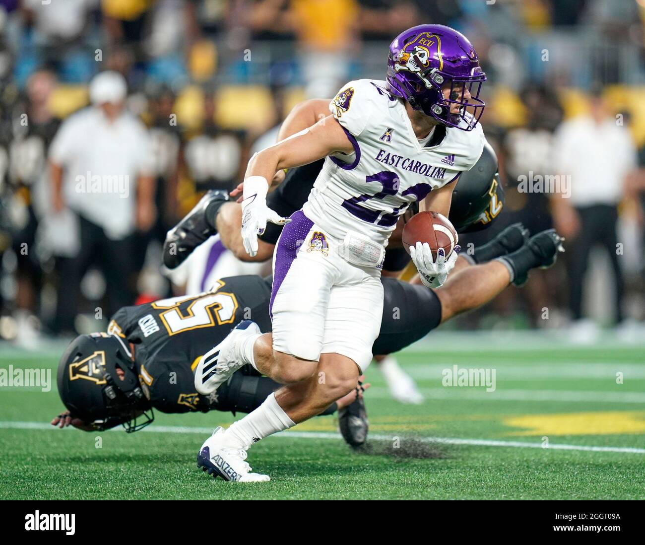 North carolina state bird hi-res stock photography and images - Alamy