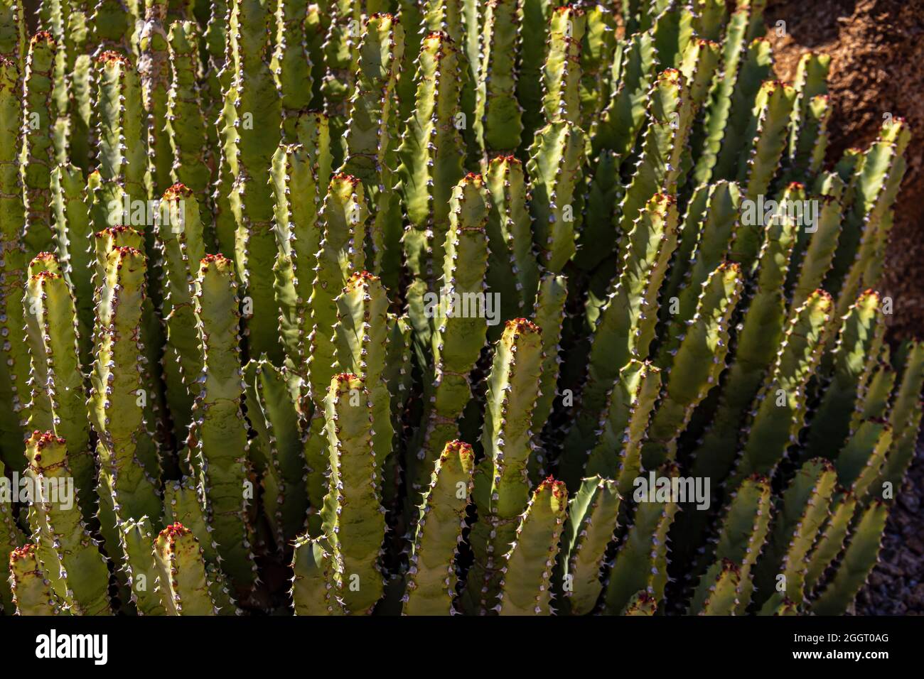 Morrocan mound hi-res stock photography and images - Alamy