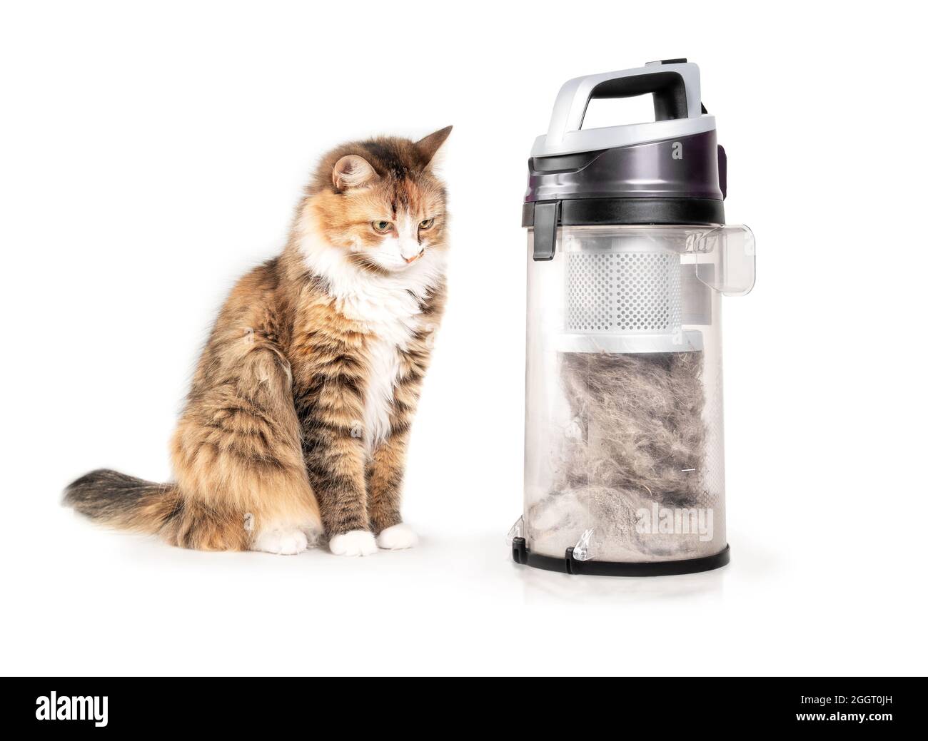 Dust debris hi-res stock photography and images - Alamy