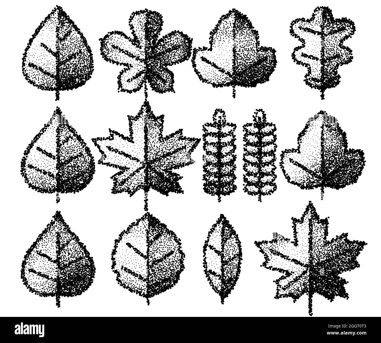 Leaves Pattern Cut Out