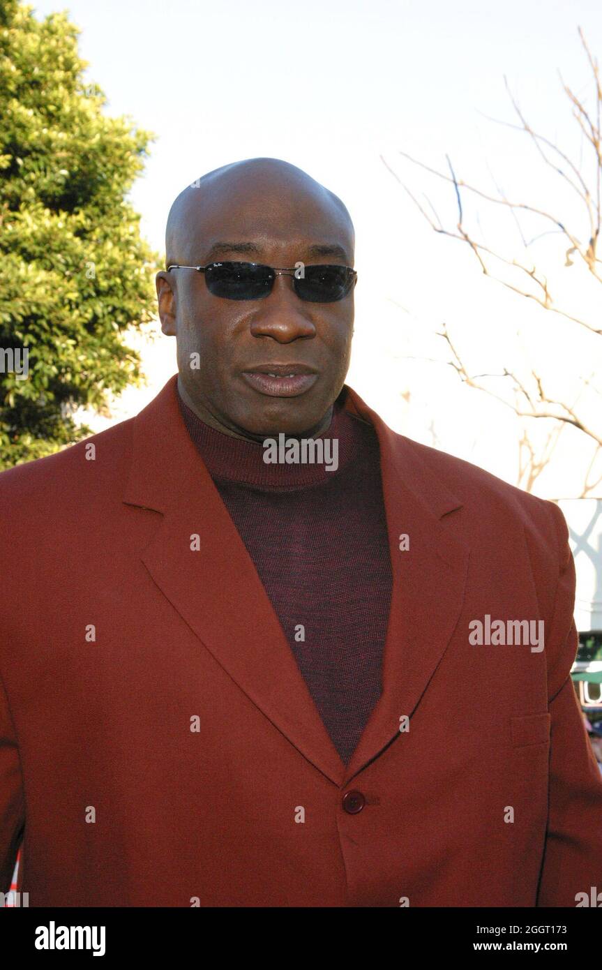 Michael Clarke Duncan 02/09/03 "Daredevil" Premiere at The Mann Village ...