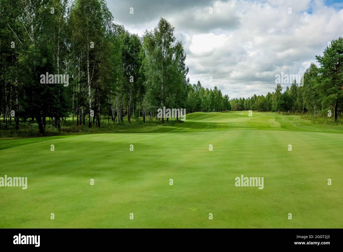 Golf course, landscape, green grass on the background of the forest and ...
