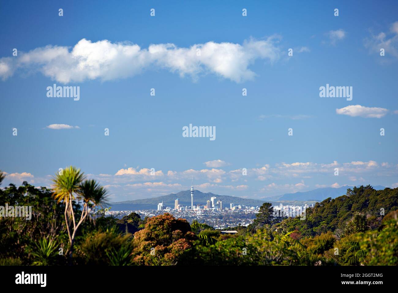 View of Auckland city from the Waitakere Ranges, Auckland, New Zealand ...