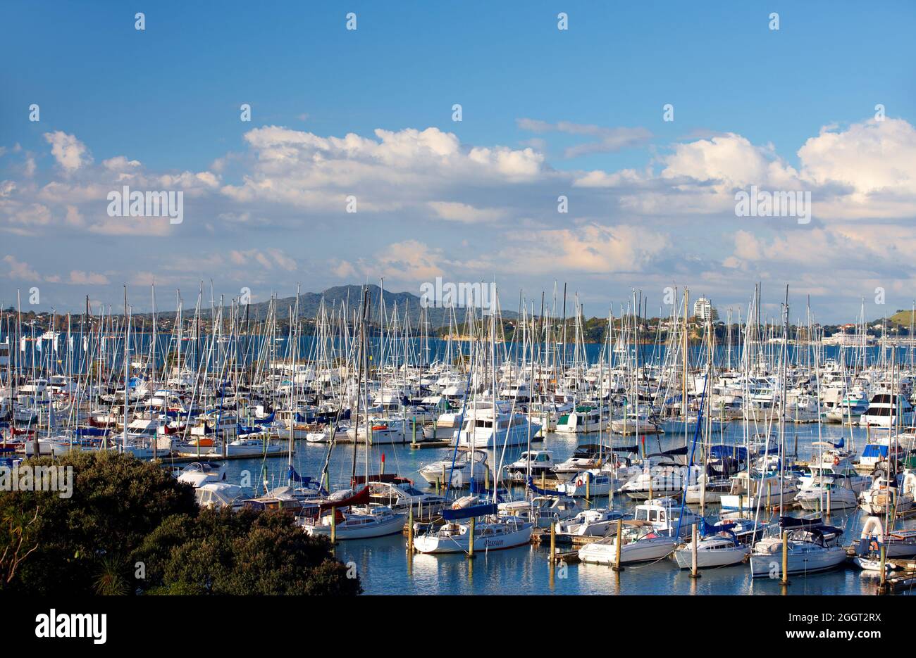 Westhaven Marina, Auckland, New Zealand Stock Photo - Alamy