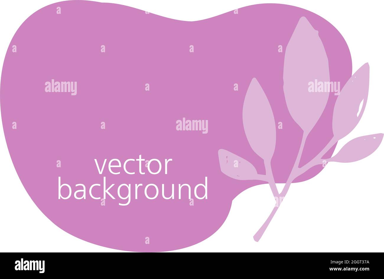 Leaves and botany on feminine elegant banners Stock Vector Image & Art ...