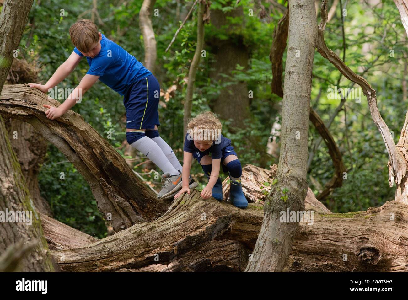 Two young boys, brothers, siblings, climbing, clambering, balancing on ...