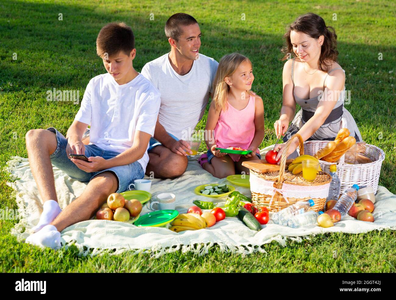 Boy playing on smartphone during family picnic Stock Photo - Alamy