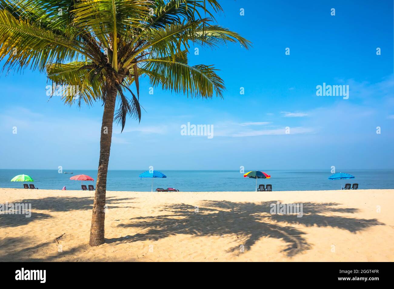 Sitting under palm tree hi-res stock photography and images - Alamy