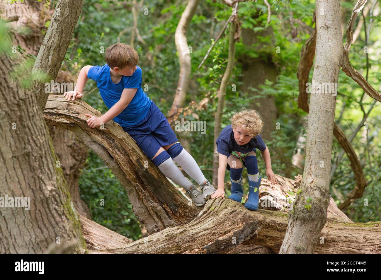 Two young boys, brothers, siblings, climbing, clambering, balancing on ...
