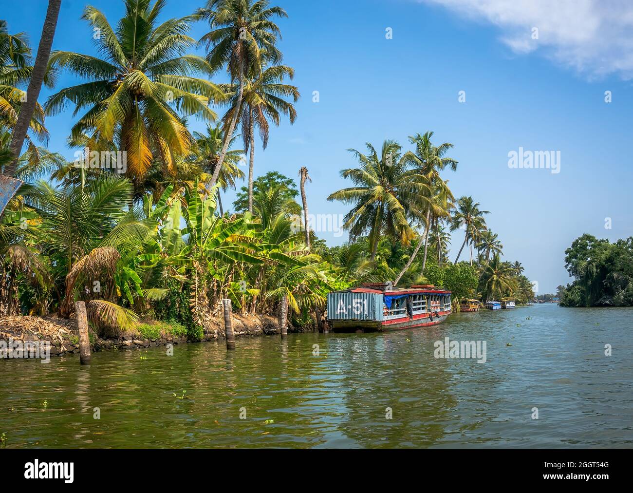 river tram in the river next to the palm trees of Alleppey, Kerala India Stock Photo - Alamy