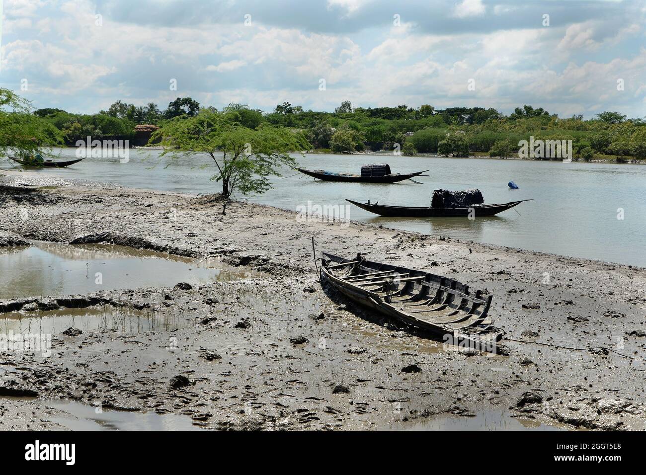 The beautiful landscape of Sundarban delta area at West Bengal in India ...