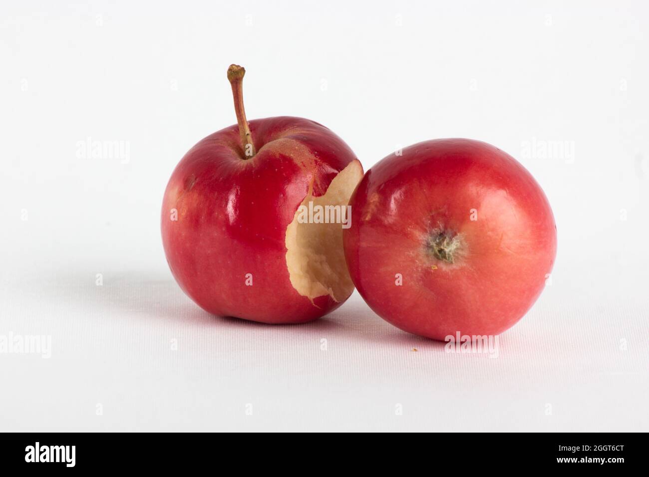 Shoot of apple hi-res stock photography and images - Alamy