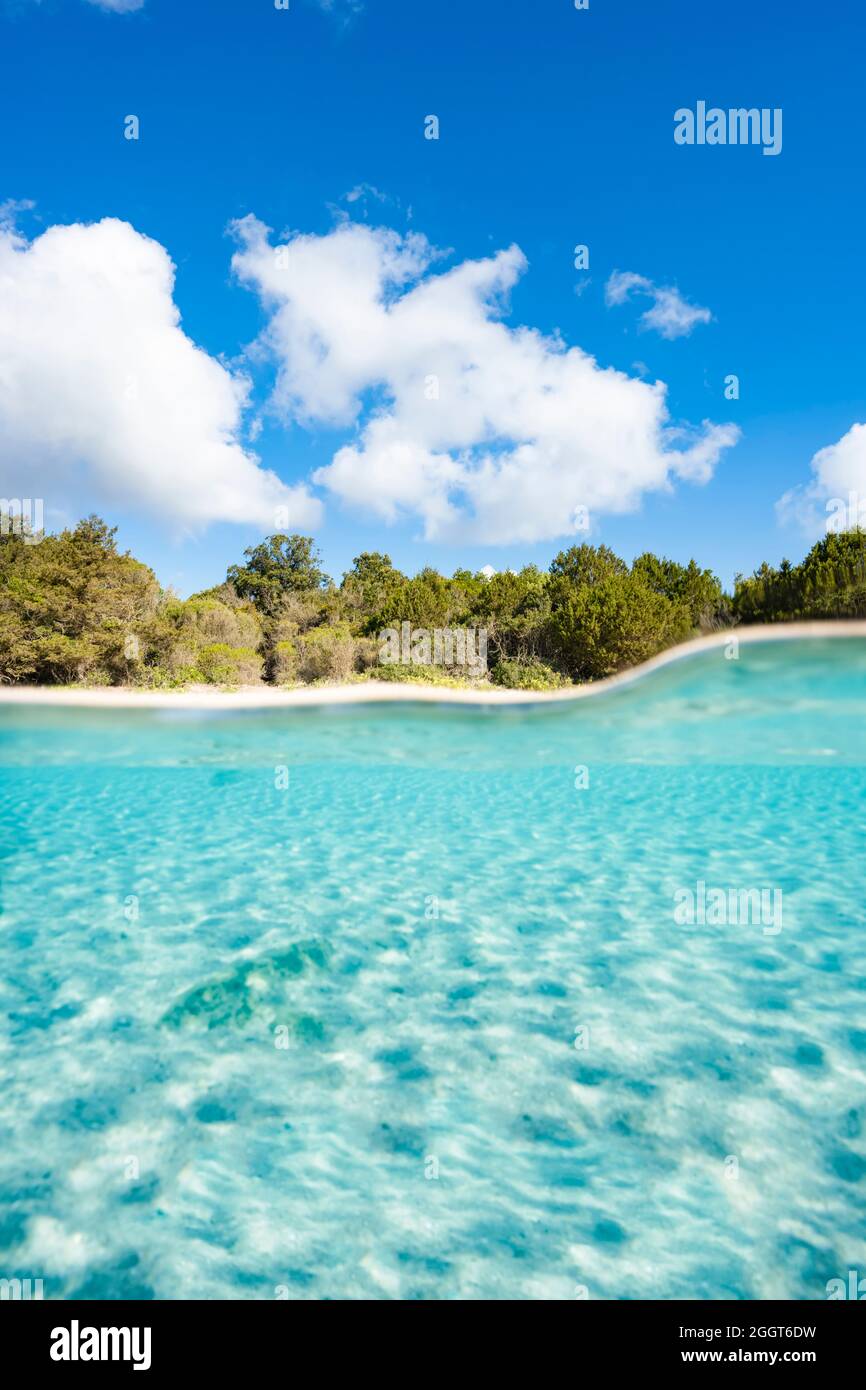 (Selective focus) Split-shot, over-under shot. Half underwater half sky ...