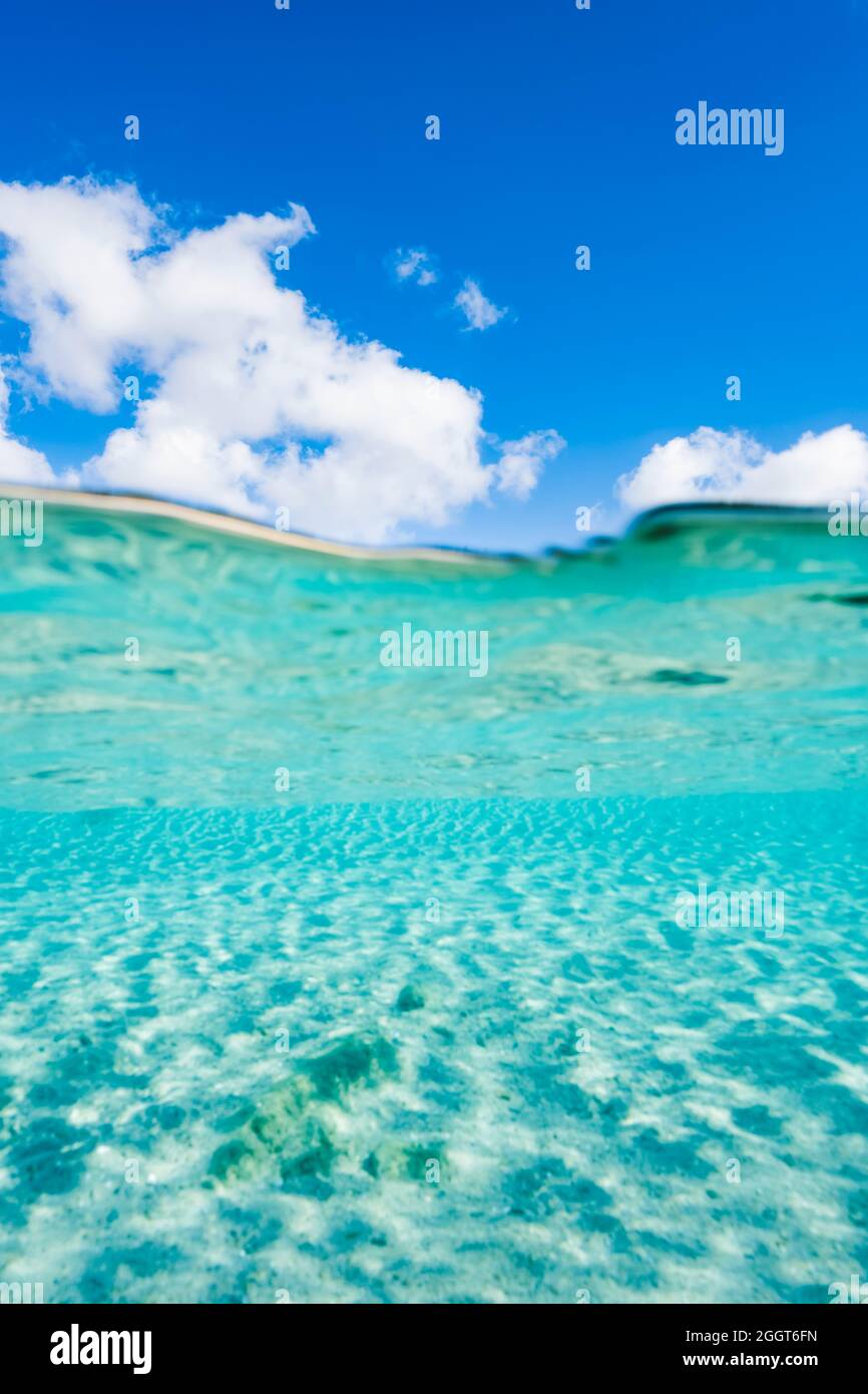 (Selective focus) Split-shot, over-under shot. Half underwater half sky ...