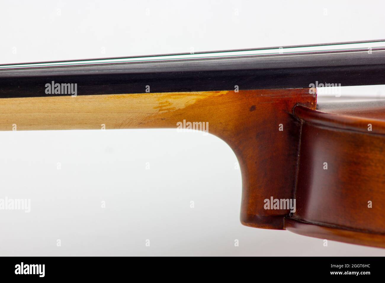 VIOLIN NUT WIGHT BACK GROUND Stock Photo - Alamy