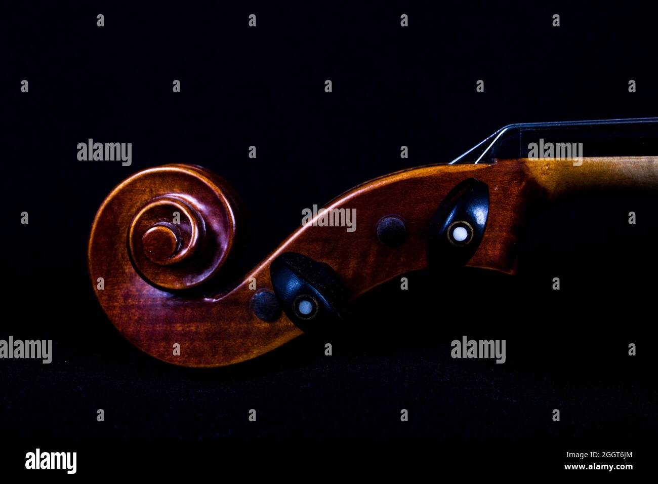 CLOSE UP VIOLIN PEG-BOX Stock Photo - Alamy