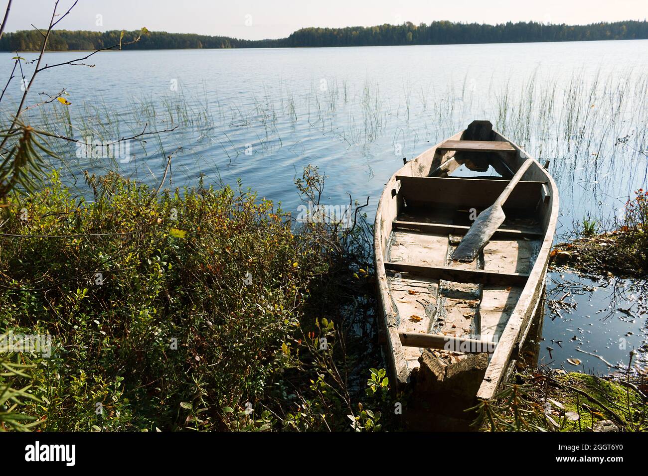 Lake boat of the old sample on the forest lake. The boat is made by ...