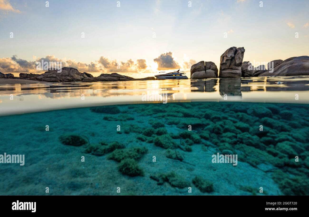 (Selective focus) Split shot, over under picture. Half underwater half ...