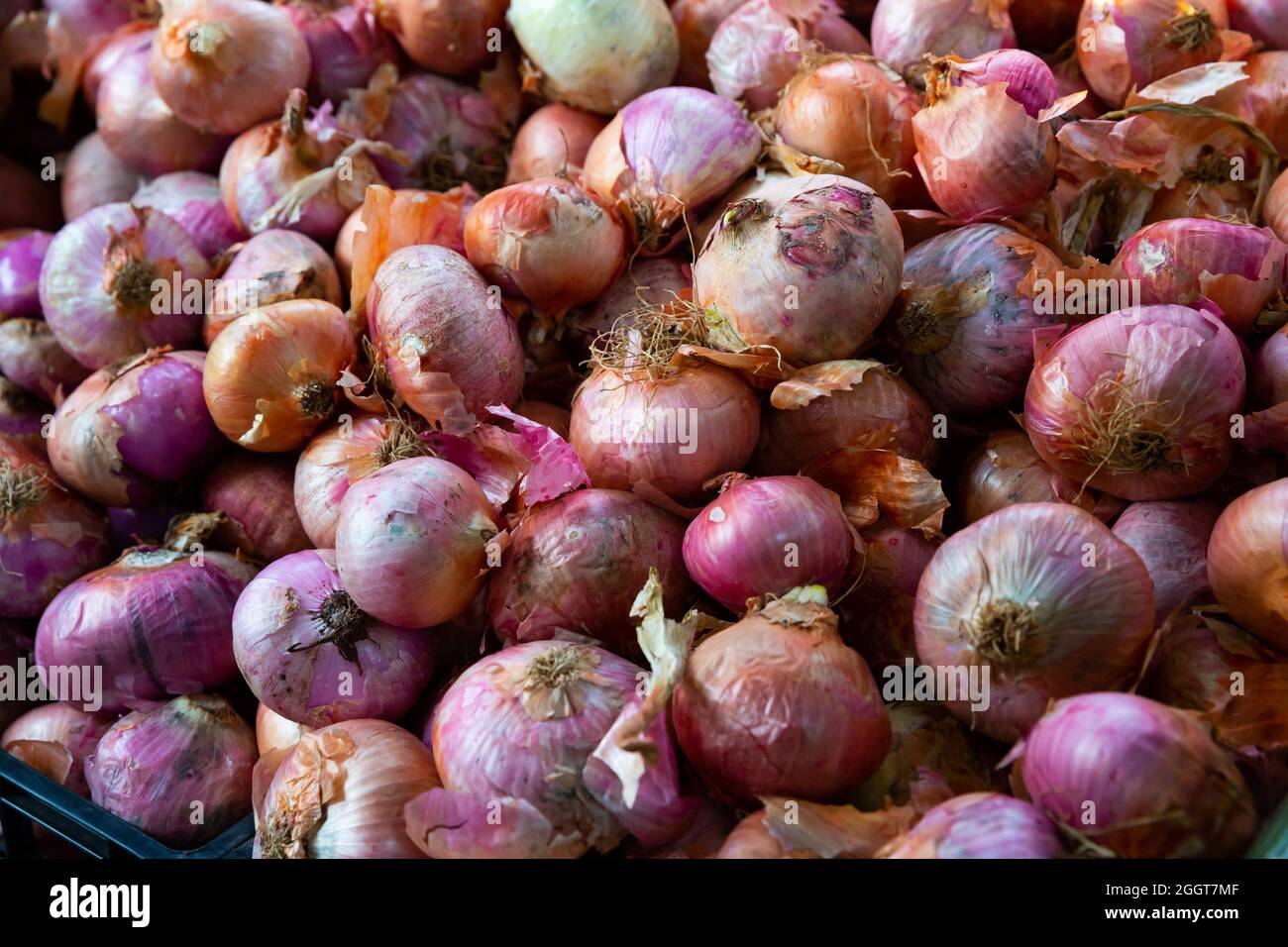 Image of boxes with onion for sale in supermarket Stock Photo - Alamy