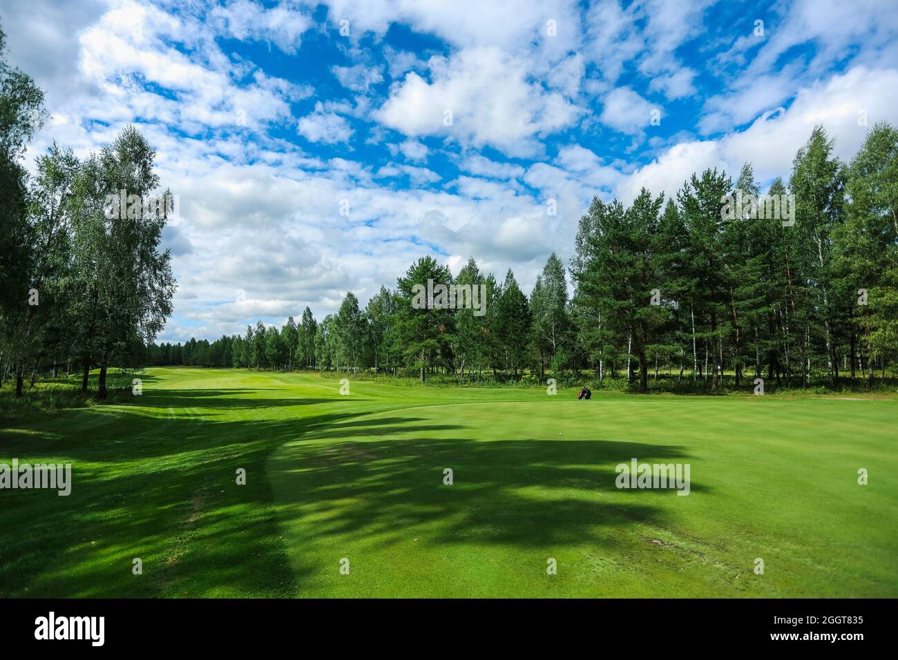 Golf course, landscape, green grass on the background of the forest and ...