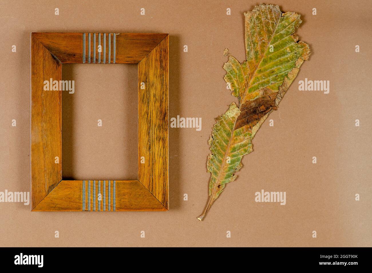Brown wooden photo frame on brown background. One dry autumn lea Stock ...