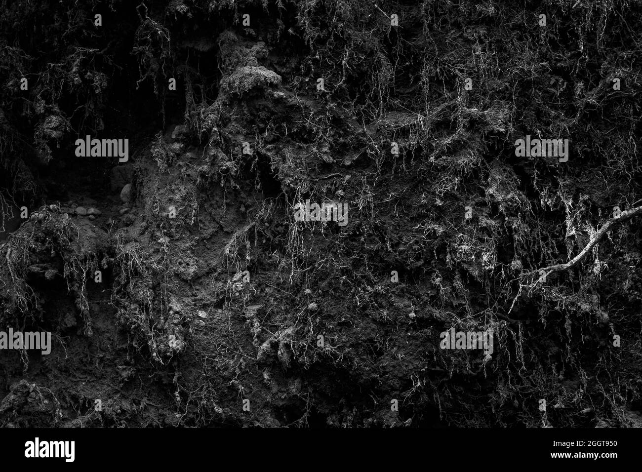Dirt Background Black