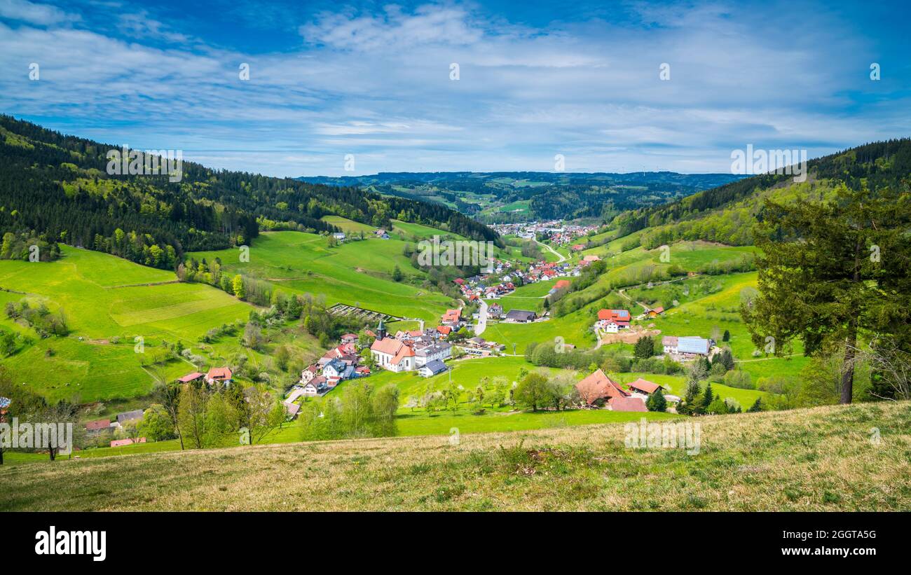 Germany, Idyllic schwarzwald village elzach yach houses surrounded by ...