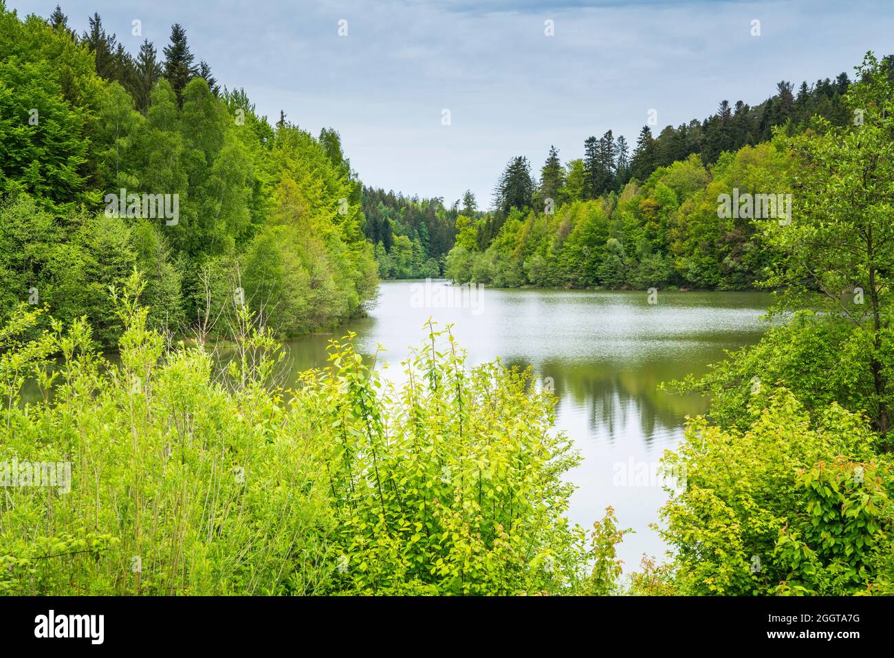 Germany, Idyllic herrenbachstausee lake surrounded by untouched green ...