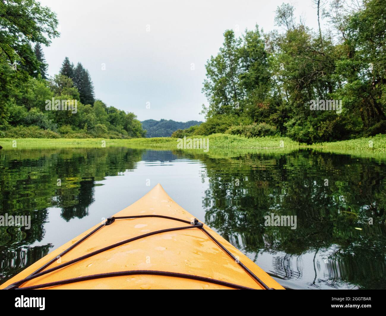 The height of summer hi-res stock photography and images - Alamy