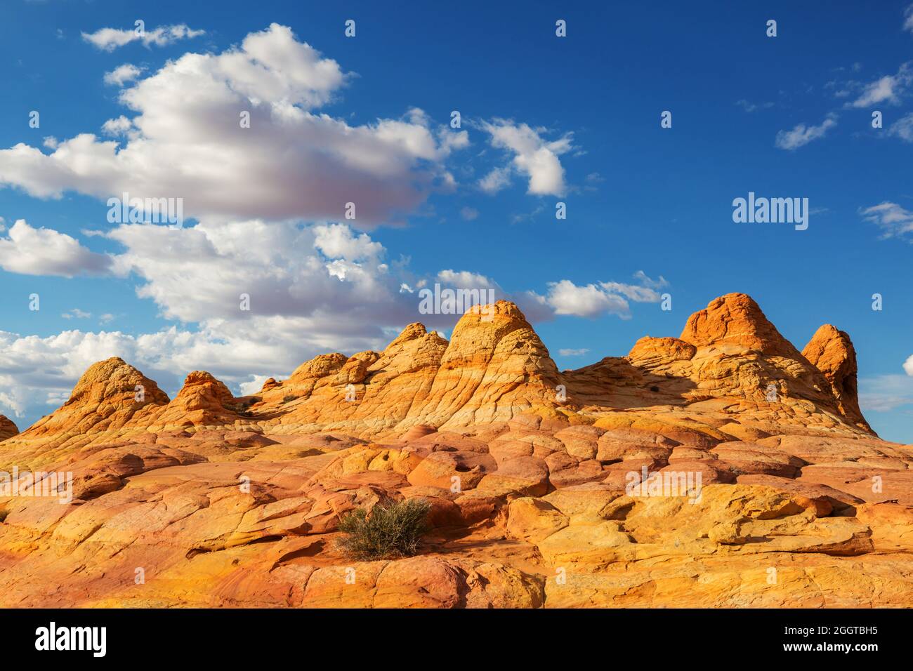 Coyote Buttes of the Vermillion Cliffs Wilderness Area, Utah and ...