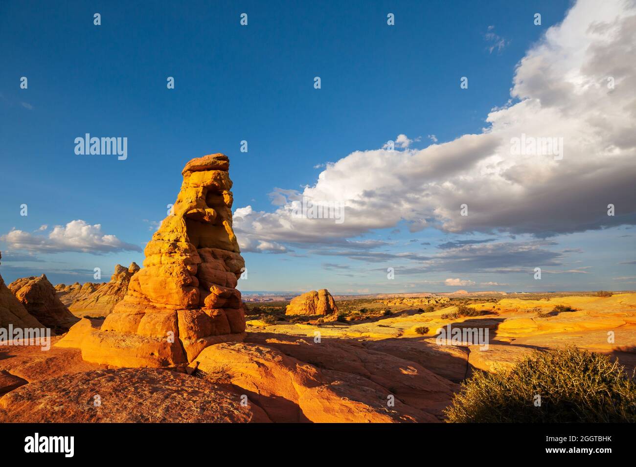 Coyote Buttes of the Vermillion Cliffs Wilderness Area, Utah and ...