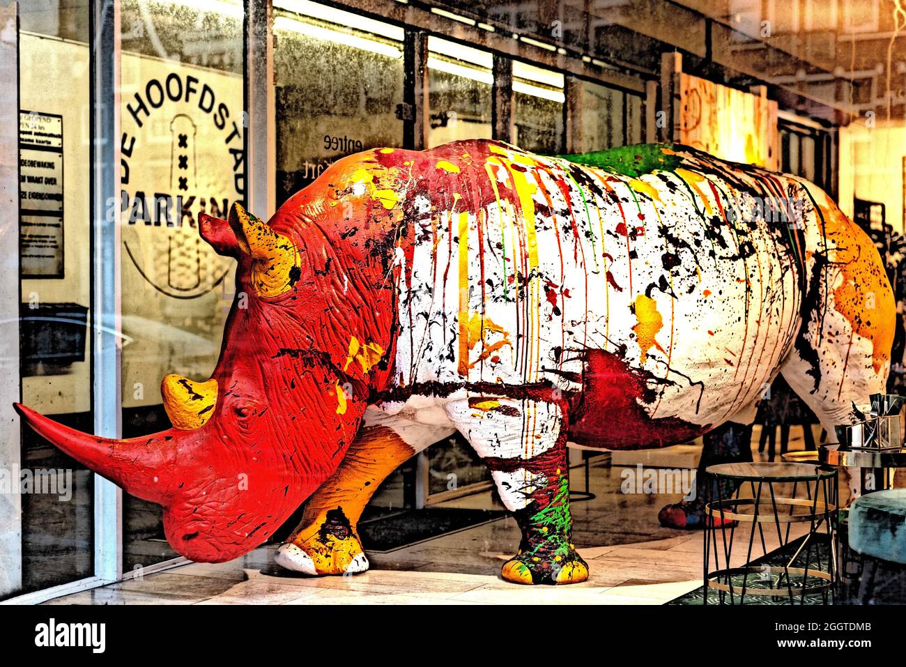 Rhino in Window - Amsterdam Stock Photo - Alamy