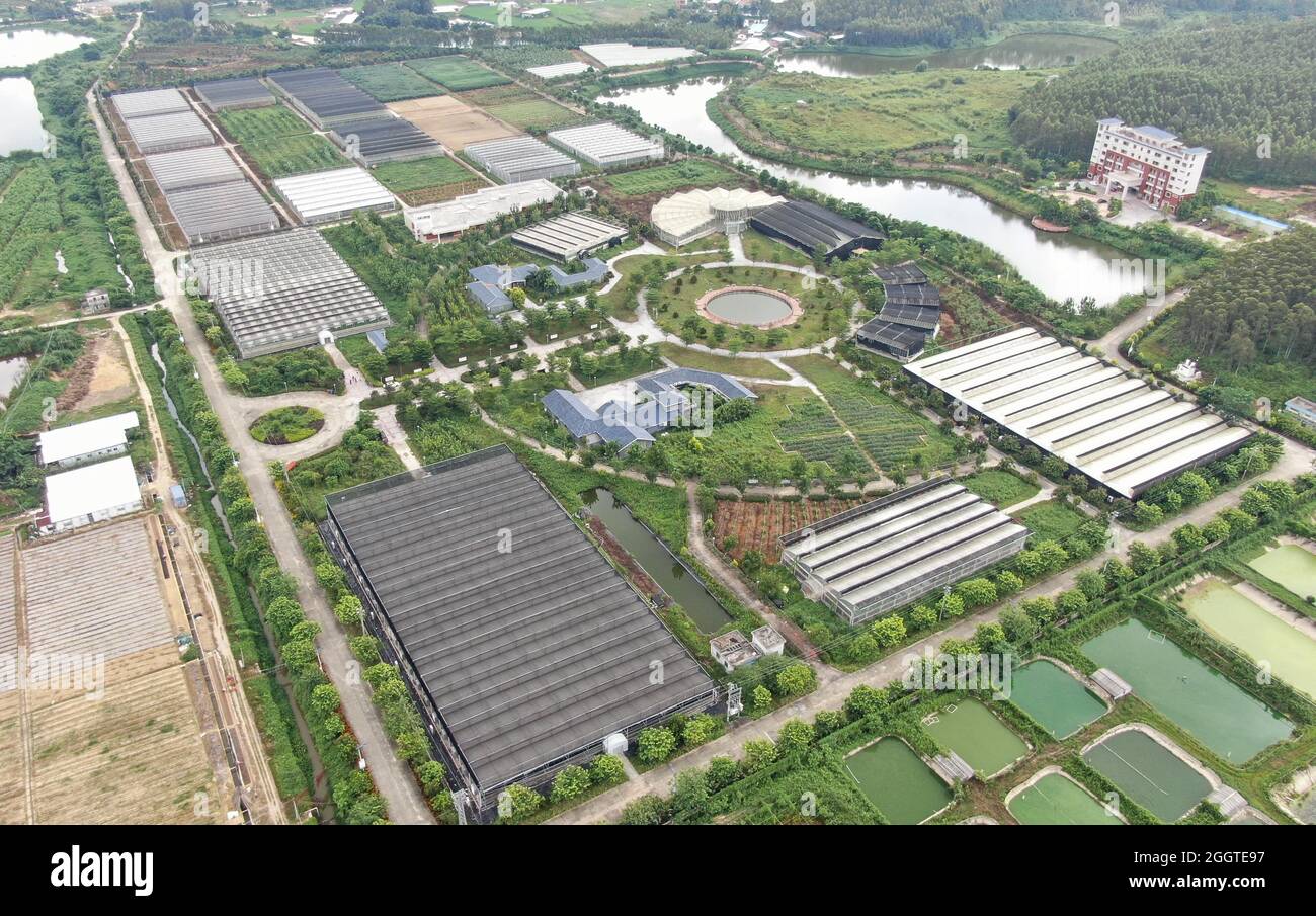 (210903) -- KAIPING, Sept. 3, 2021 (Xinhua) -- Aerial photo taken on ...