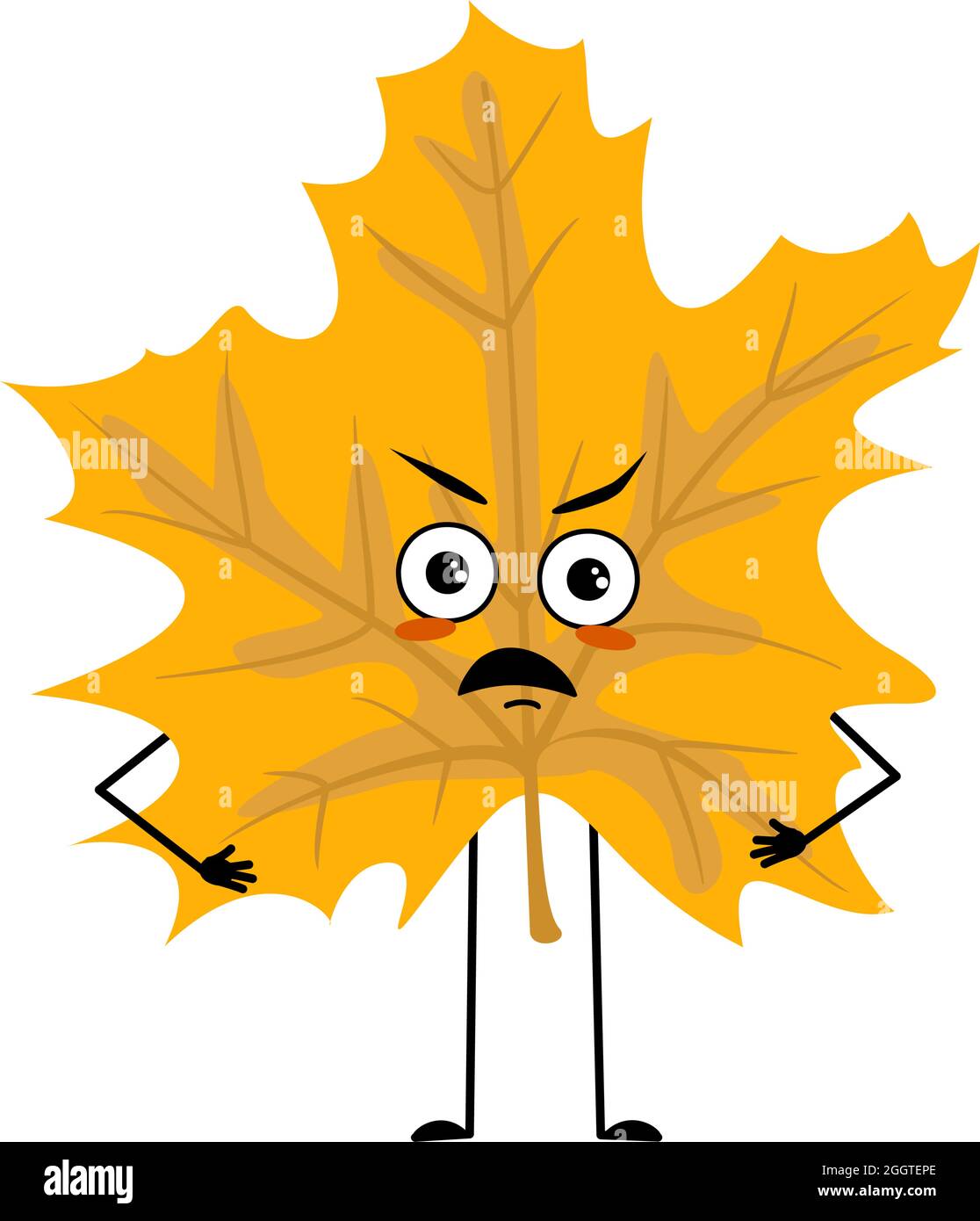 Maple leaf character with angry emotions, grumpy face, furious eyes ...