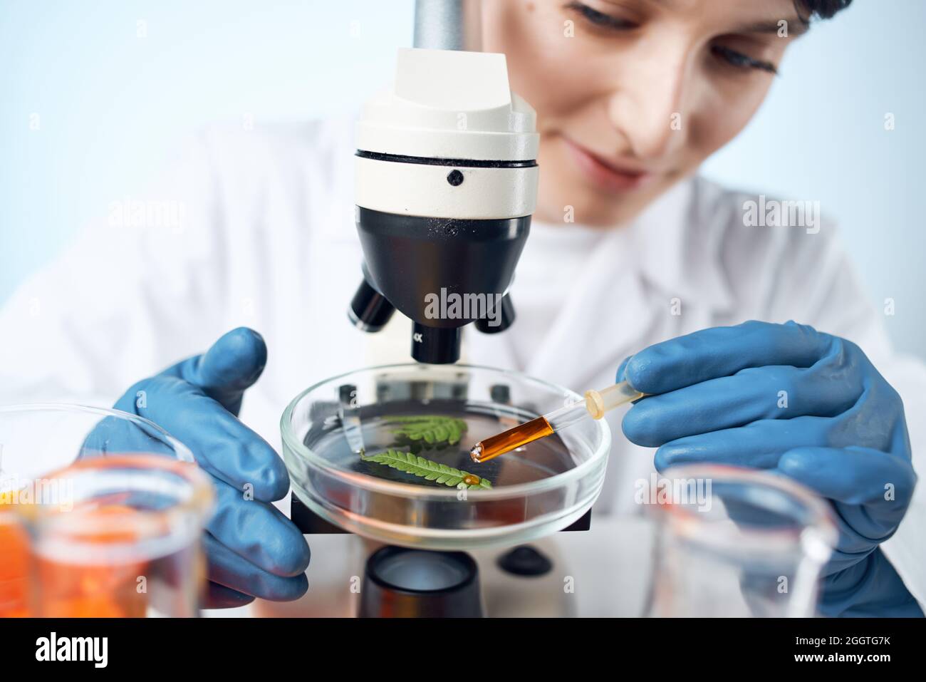 Laboratory technician blue gloved microscope professional technology ...