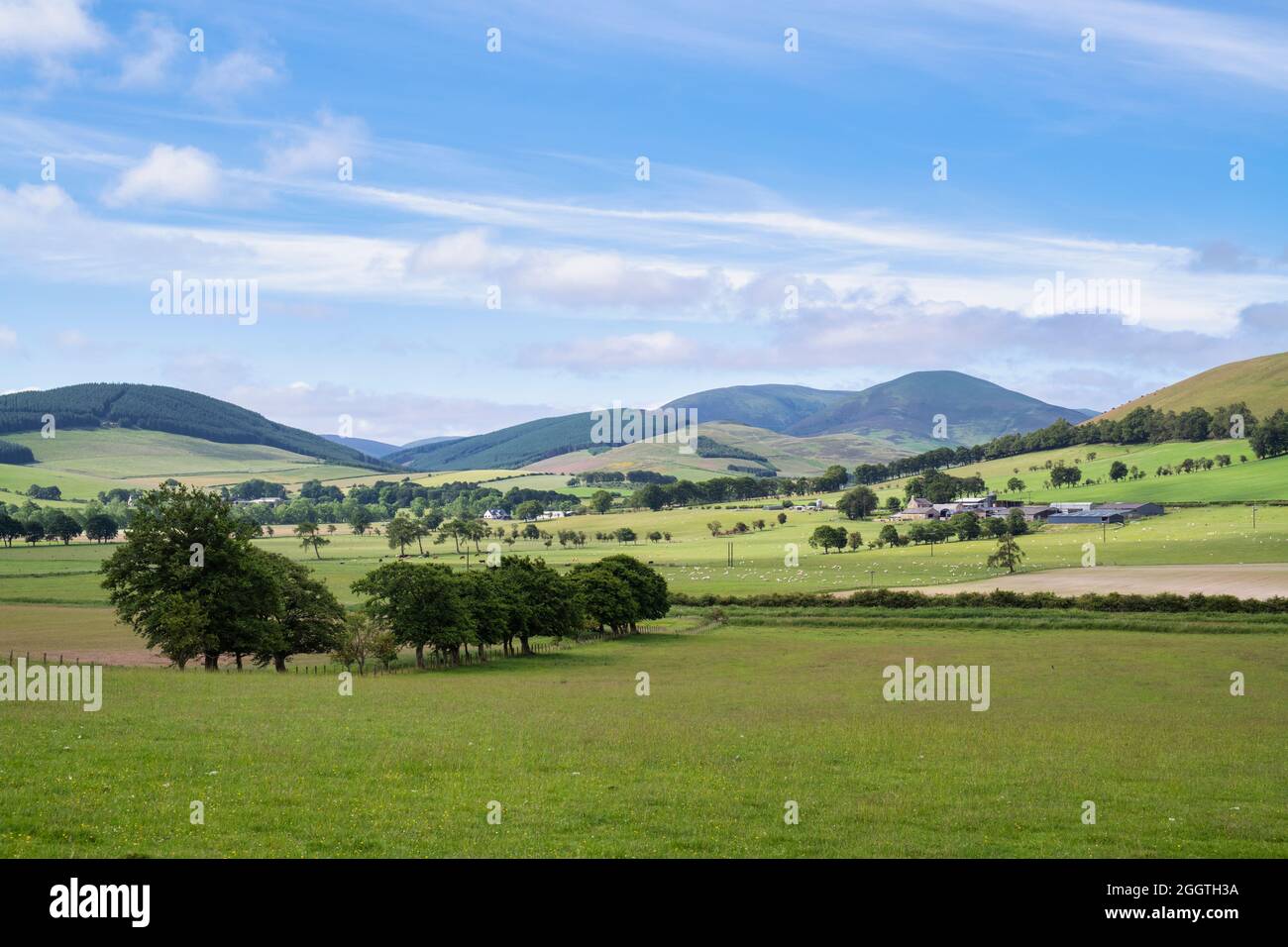 Scottish countryside in summer. Peebleshire, Scottish borders, Scotland ...
