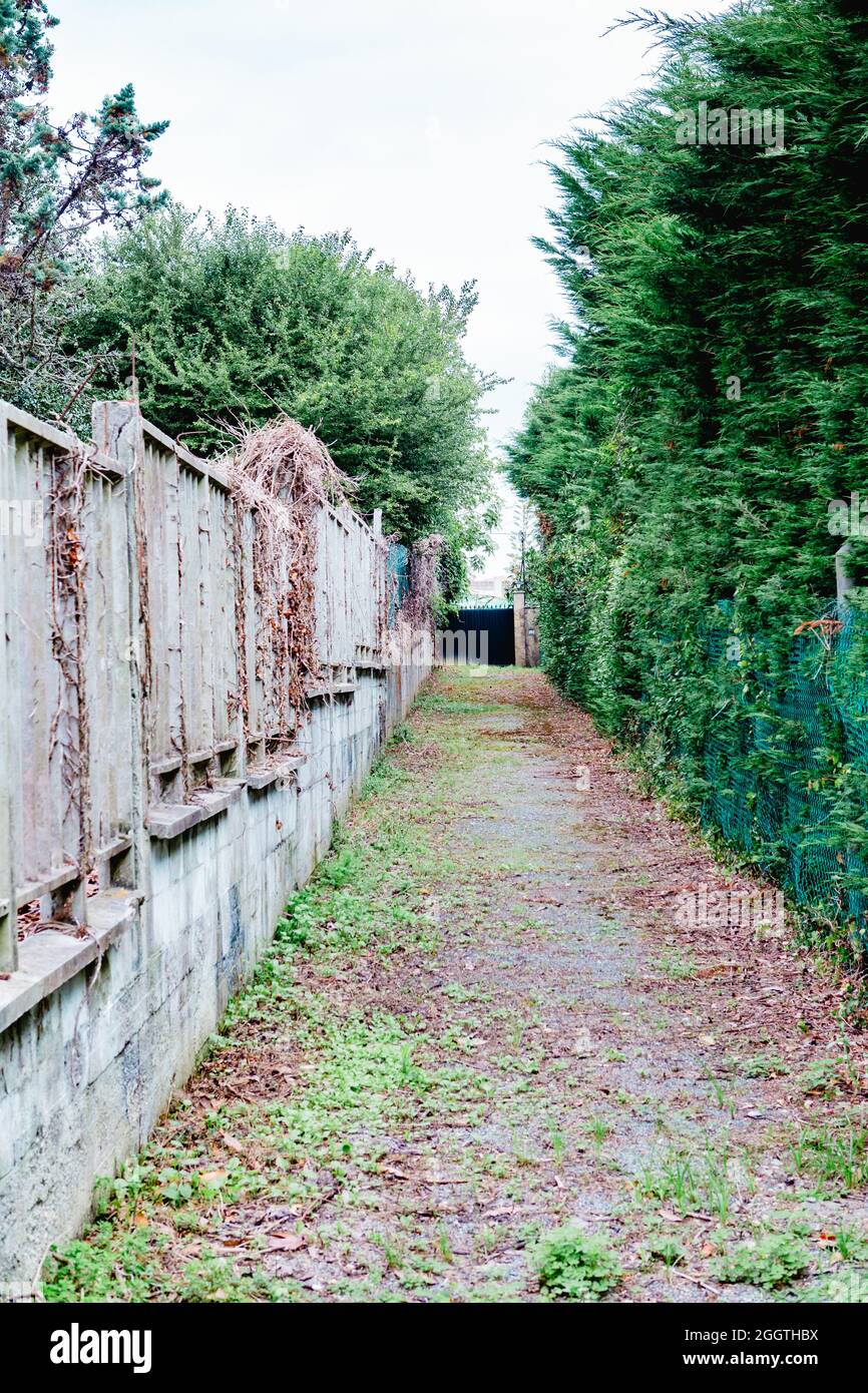 Narrow walkway/path between garden fences of homes Stock Photo - Alamy
