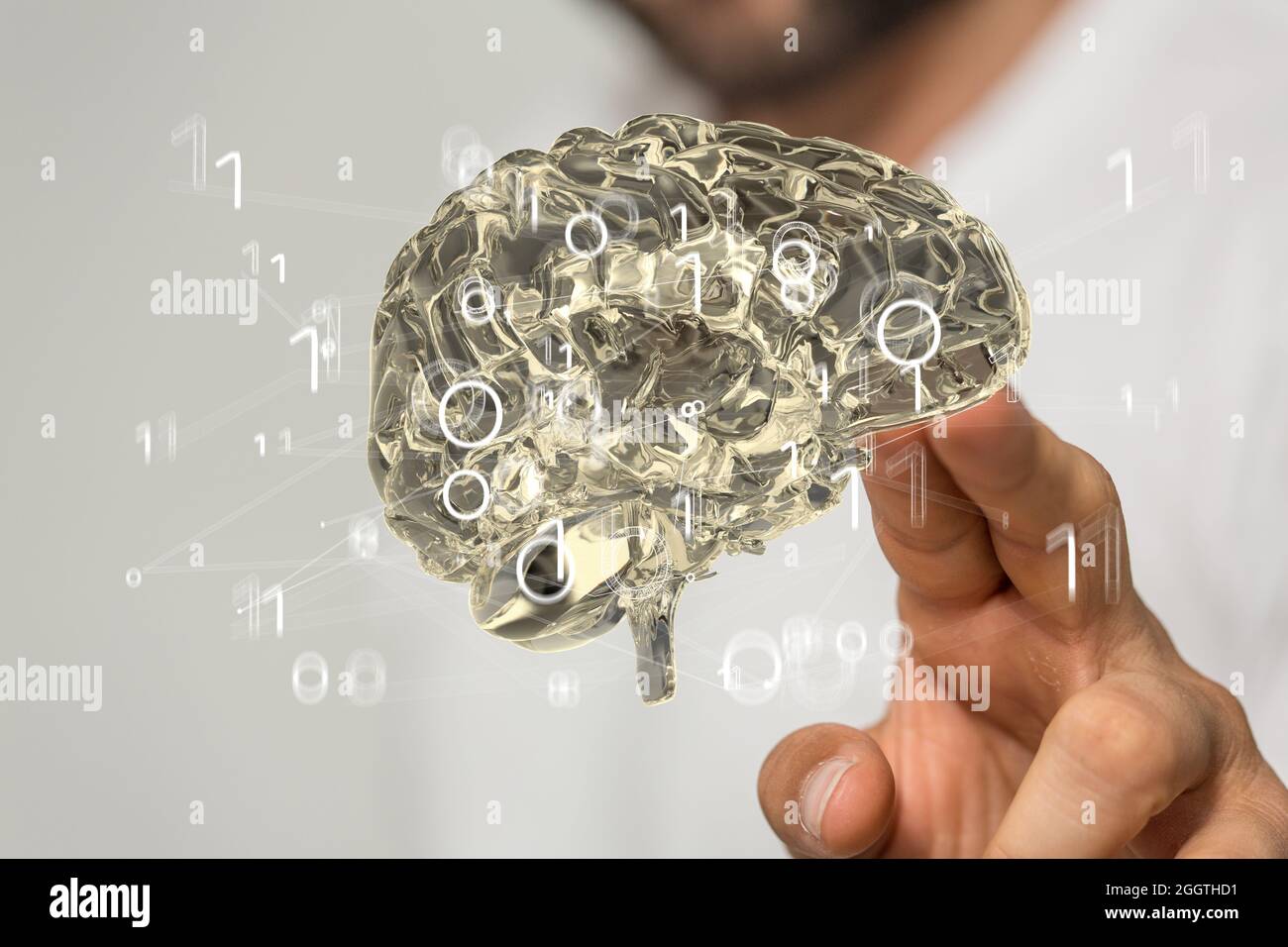 Hand touching an illustration of a human brain - the concept of ...