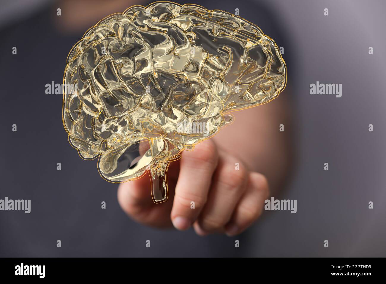 Hand touching an illustration of a human brain - the concept of ...