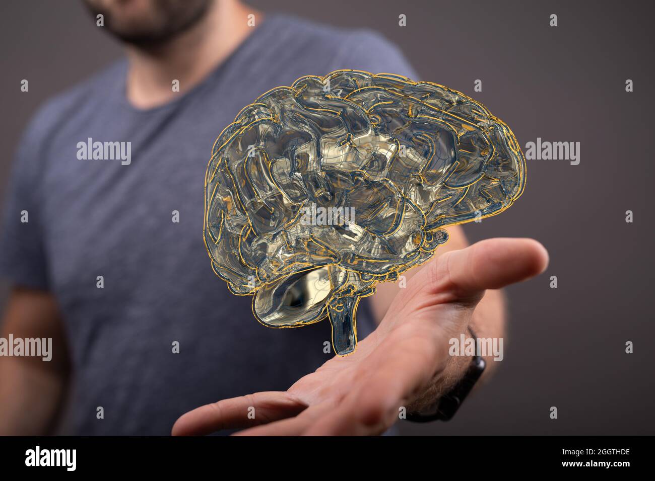 Hand holding an illustration of a human brain - the concept of ...