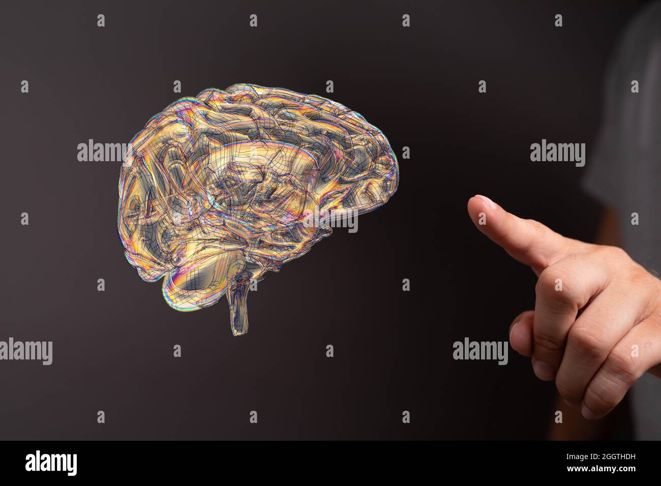 Hand touching an illustration of a human brain - the concept of ...