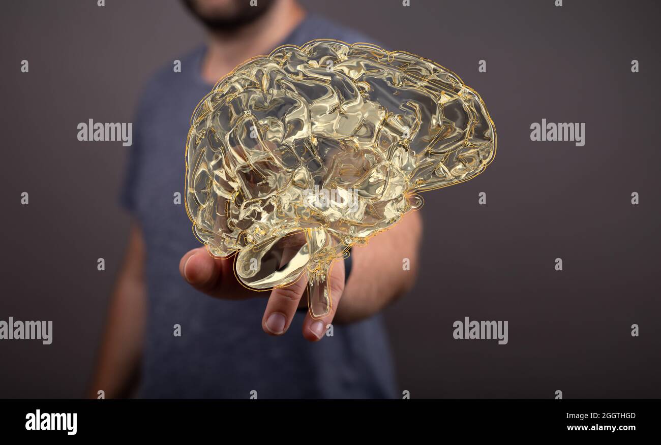 Hand touching an illustration of a human brain - the concept of ...
